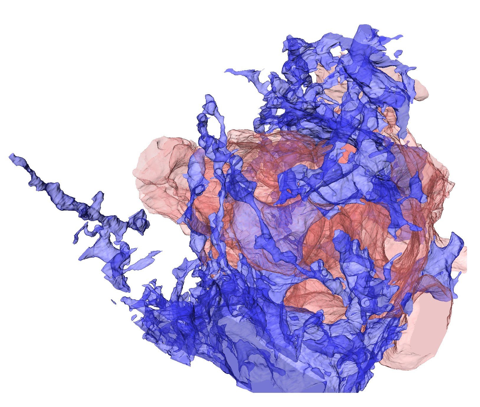 Division of Neural Development & Regeneration - National Institute for ...